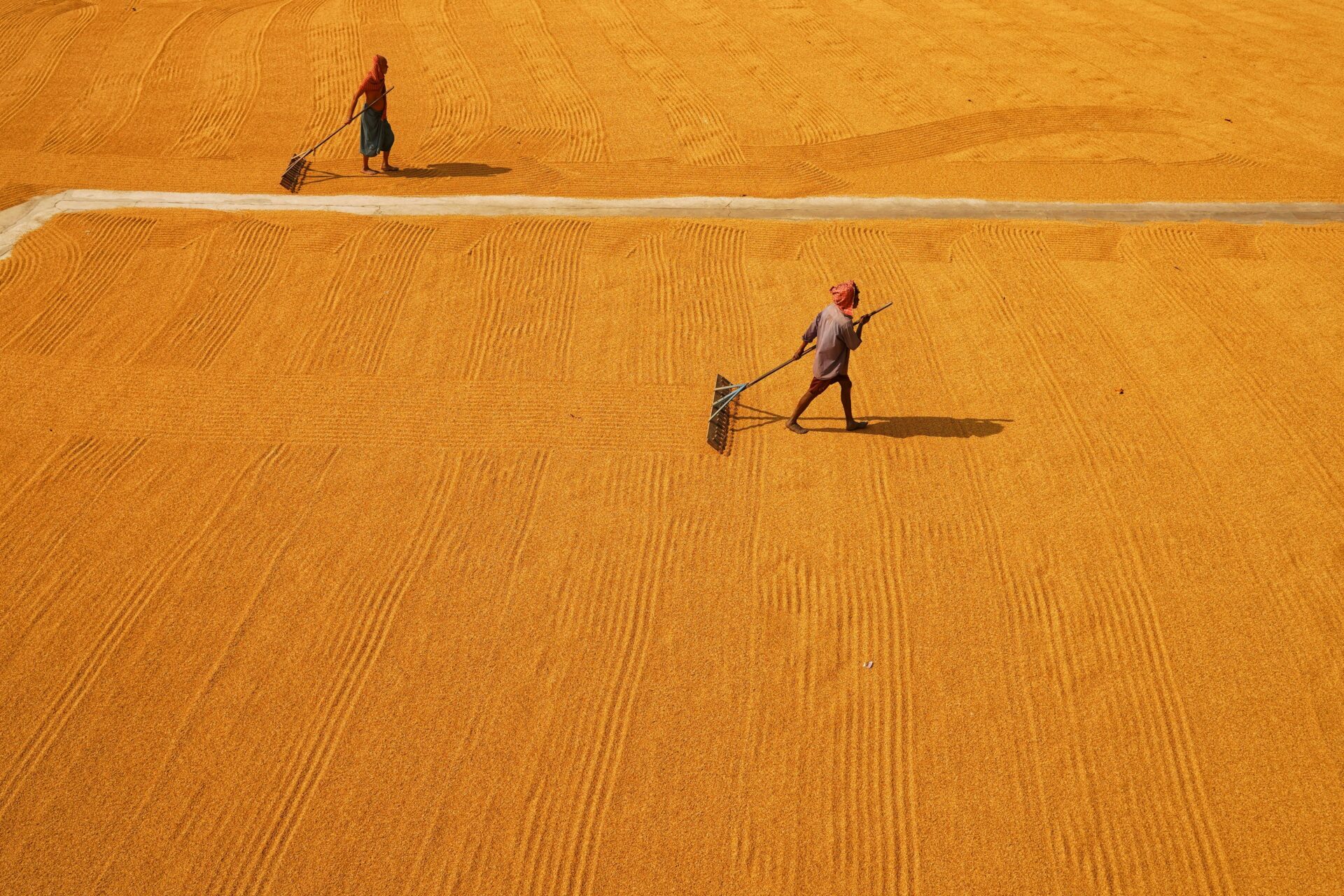 Food Forward NDCs: An assessment of Nationally Determined Contributions ...